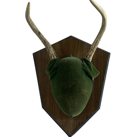 Other | Vintage Two Point Whitetail Deer Antlers Mounted Man Cave ...